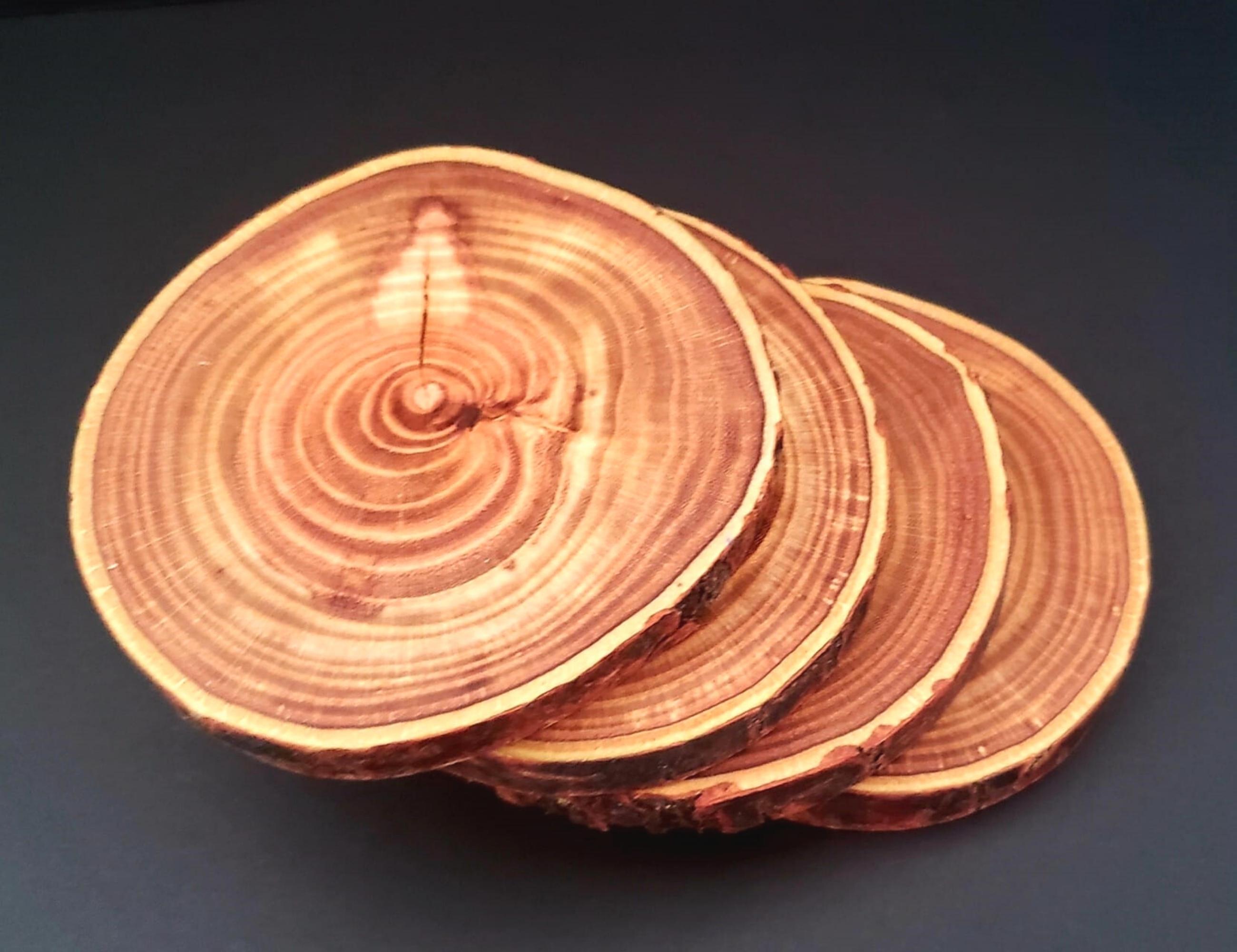 Live Edge Coasters - Set Of 4 or 8 - Summac Wood | Mountain WoodWork Canada